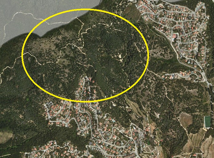 Ajuntament d'Alella - La Societat de Caçadors té previst fer una batuda ...