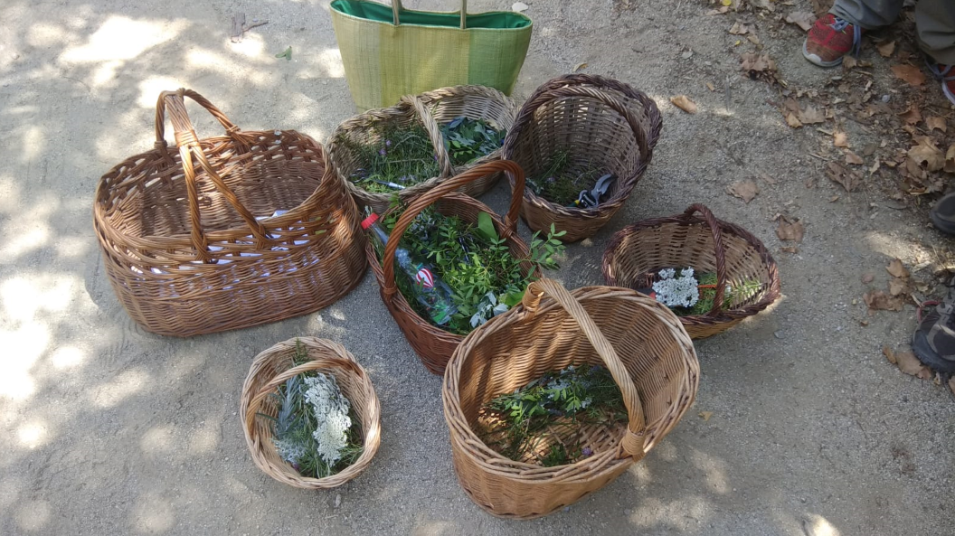 Ajuntament d'Alella - Agenda de turisme